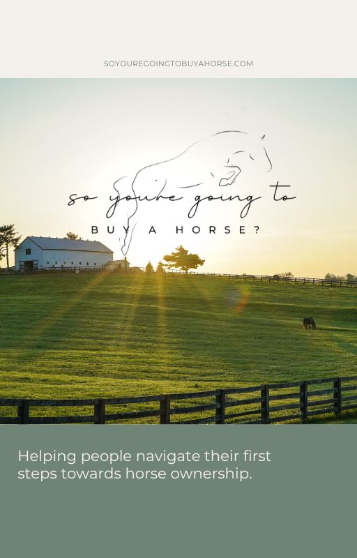 The Only Horse Buying Checklist You Need – Buying A Horse?