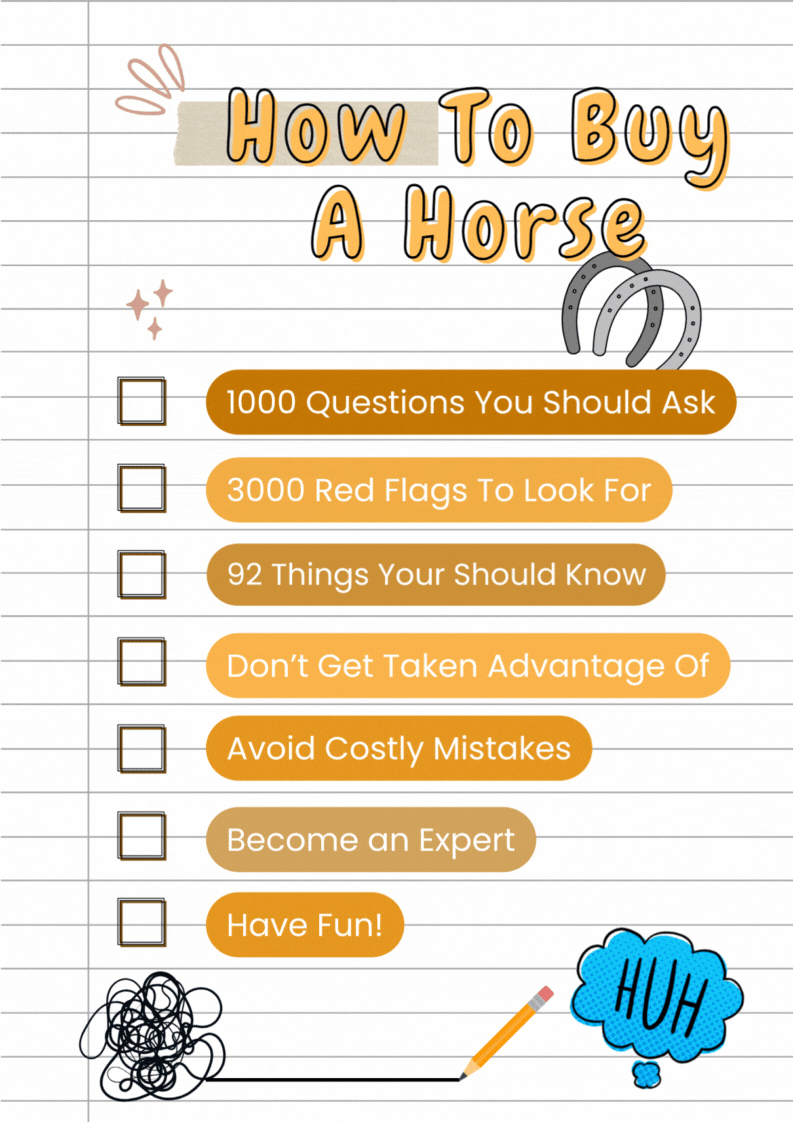 The Only Horse Buying Checklist You Need – Buying A Horse?