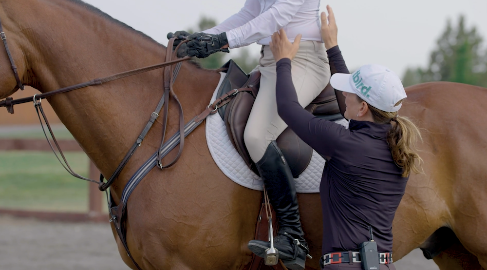 The Only Horse Buying Checklist You Need – Buying A Horse?